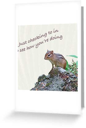 "Just Checking In - Chipmunk Greeting Card" by MotherNature | Redbubble